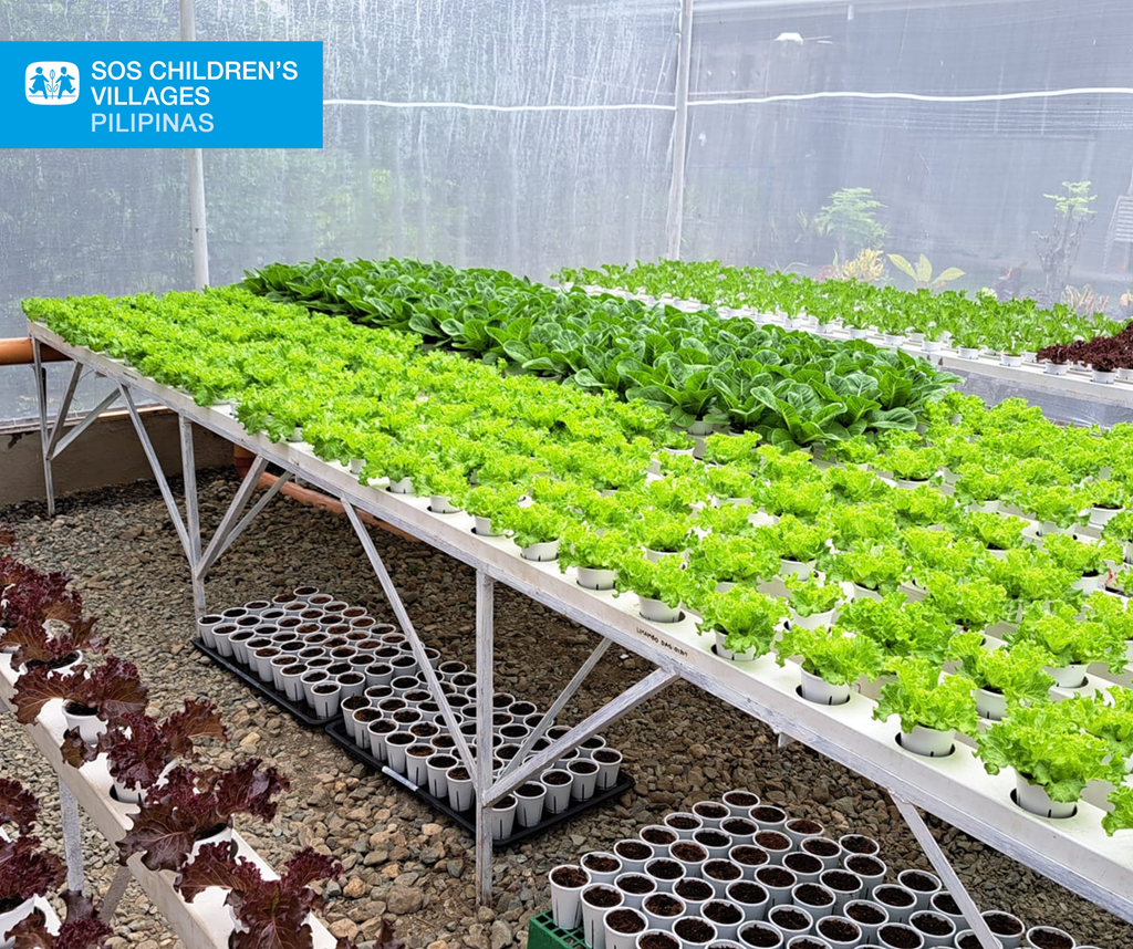 A Smart Solution for a Child’s Nutrition: The Hydroponics Garden in CV ...